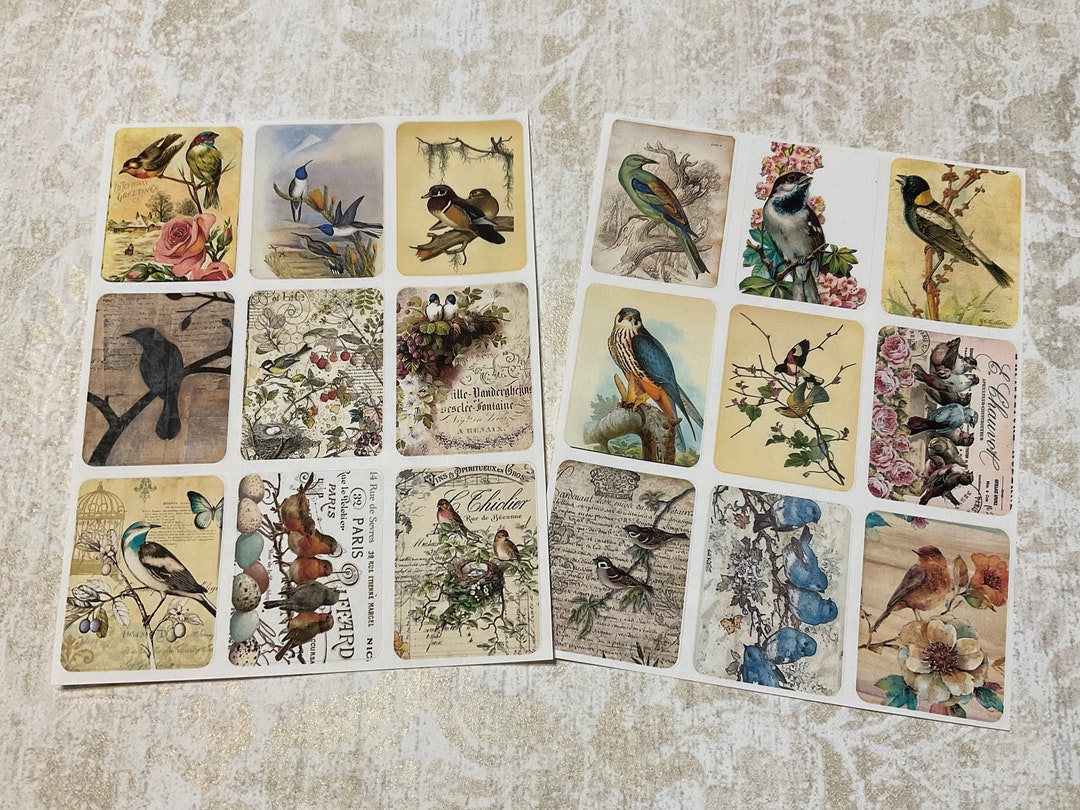 Sticker Sheets 2 Bird Themed Sticker Sheets Small Stickers Birds Junk ...