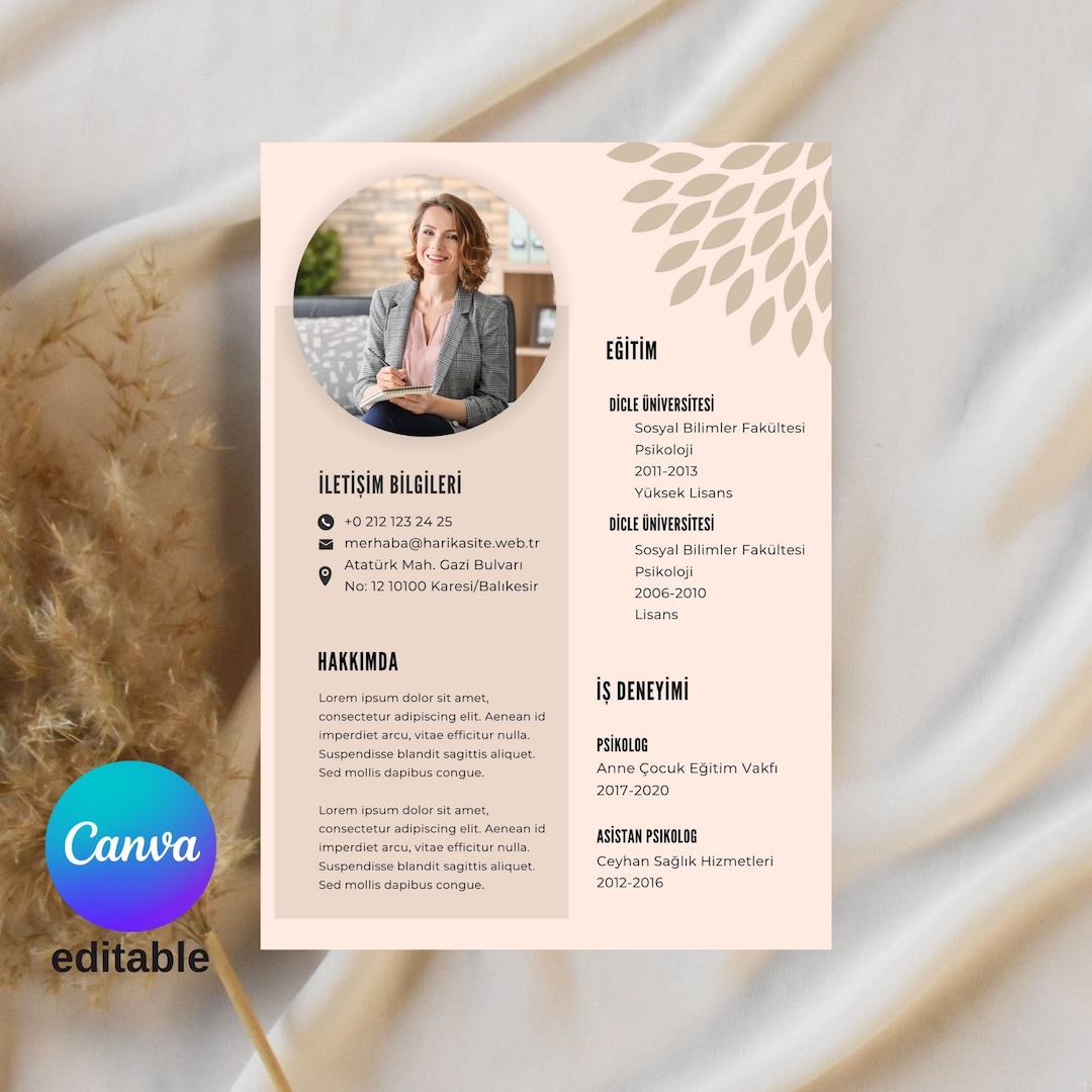 Editable Modern CV TEMPLATE for Professional Resume Download Save to ...