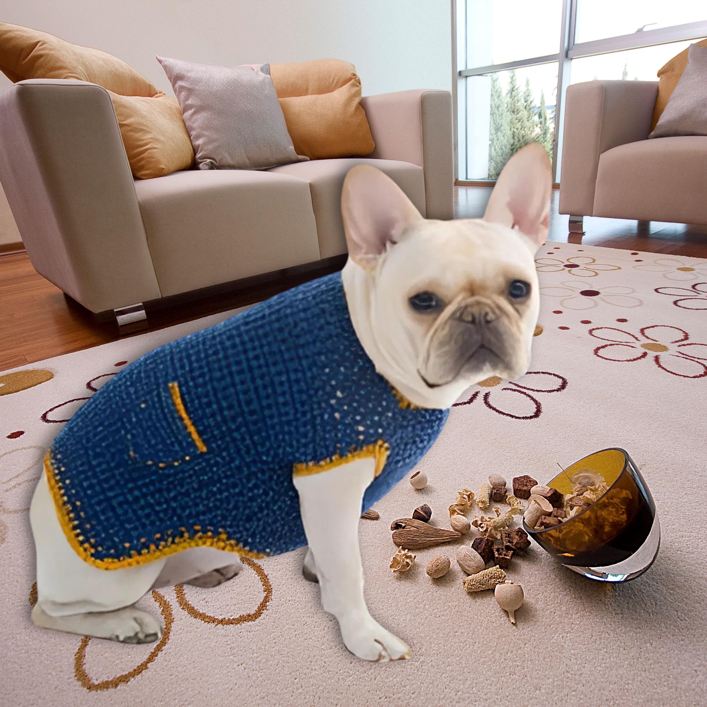 Dog Sweater ***CROCHET PATTERN*** - Etsy
