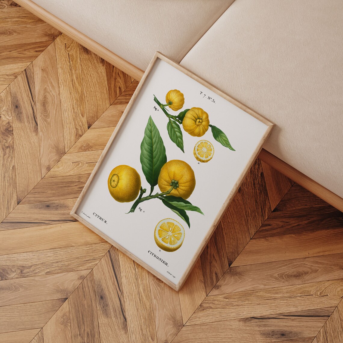Citrus Painting Fruit Print Nature Print Vintage Art Print Fruit ...