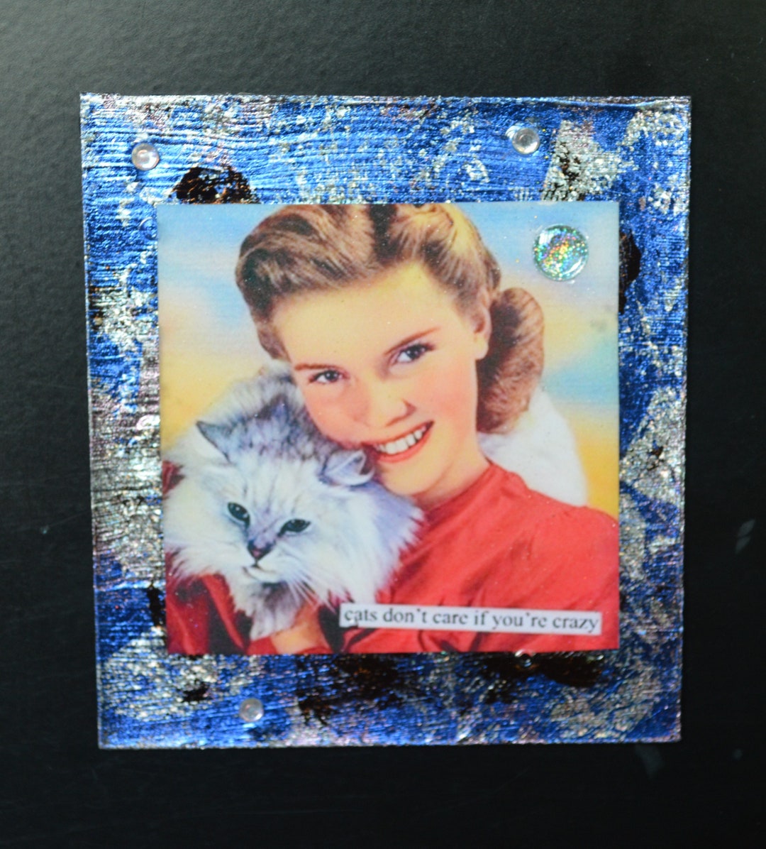Funny Cat Lady Magnet Vintage Retro Cats Dont Care If Your Crazy Fridge ...
