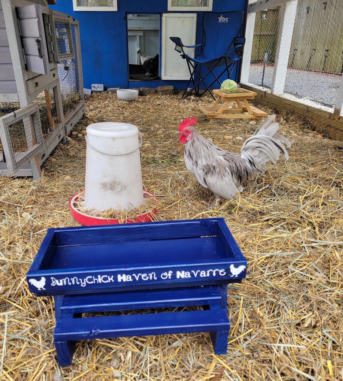 Personalized Chicknic Table-chicken Picnic Table - Etsy