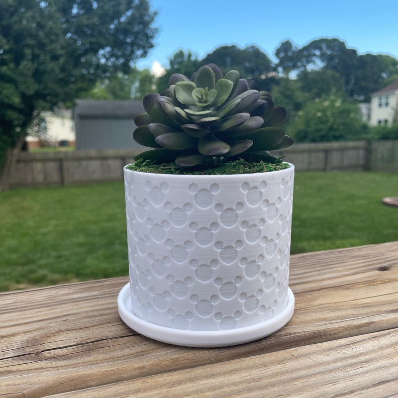 Mickey Mouse Planter - Etsy