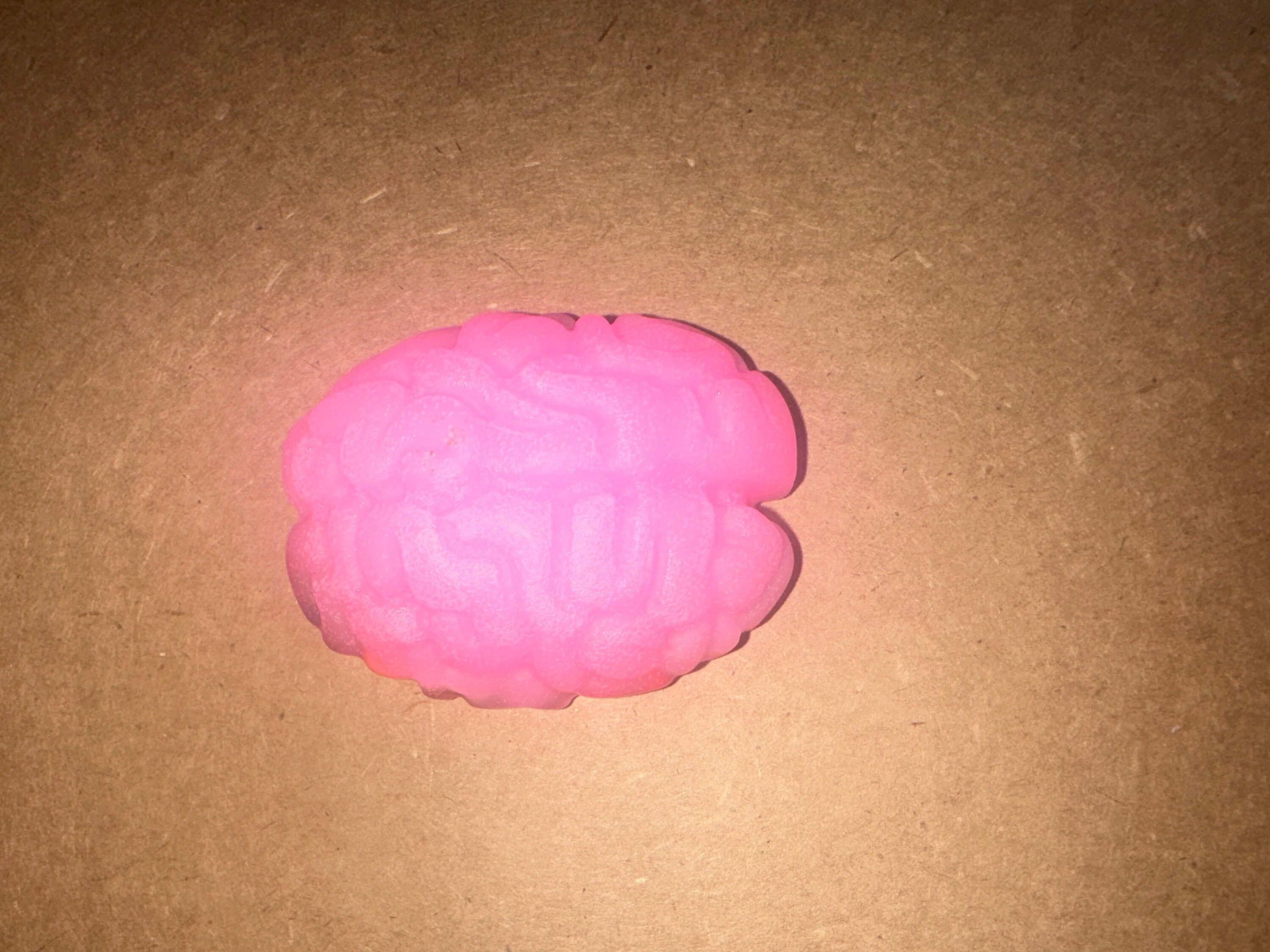 Textured Fidget Brain Organ - Etsy