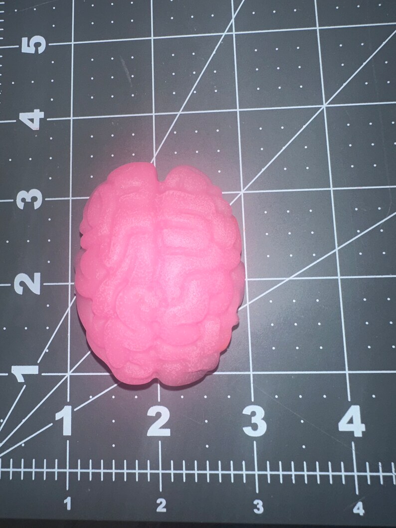 Textured Fidget Brain Organ - Etsy