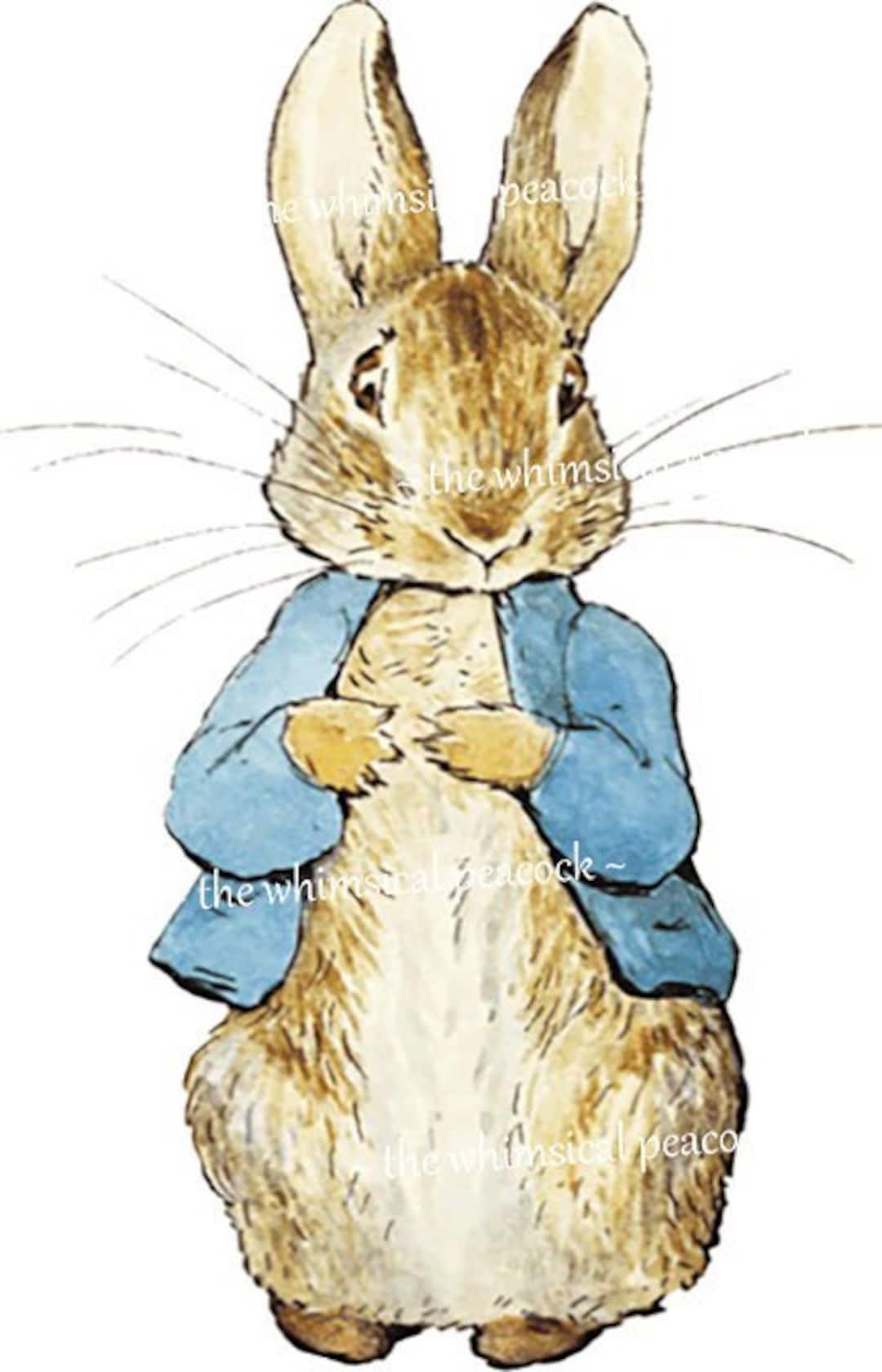 Art on Silk or Cotton ~ Peter Rabbit in Blue Jacket Picture Perfect ...