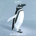Running Magellanic Penguin Papercraft, Digital Template, PDF Download ...