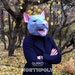 2 Rat Masks Papercraft, Mouse, Digital Template, PDF Download, Gurko ...