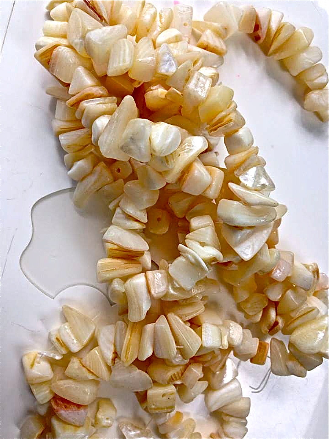 Shell Nugget Beads, Natural , 6x2x2mm Bead Strand 14 Inches Drw500 Bead ...