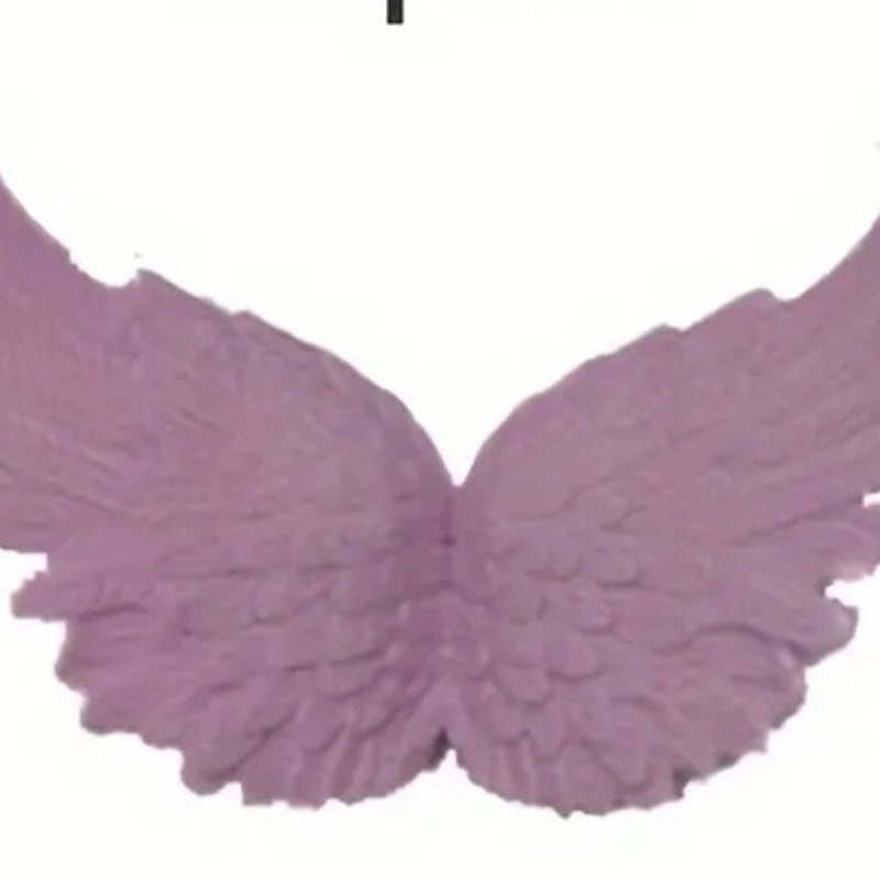 Pink Wings - Etsy
