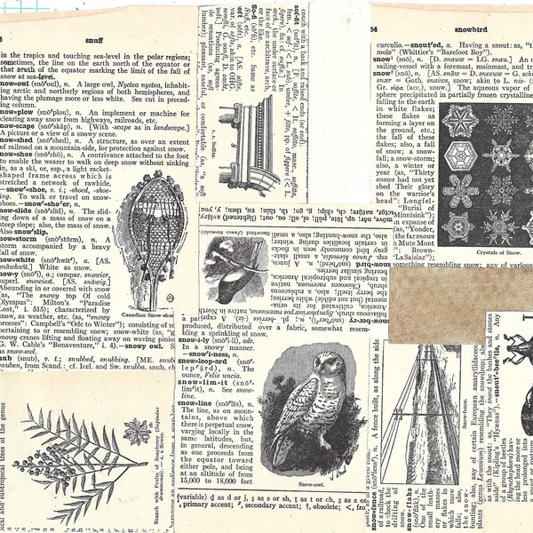 Dictionary Theme - Etsy