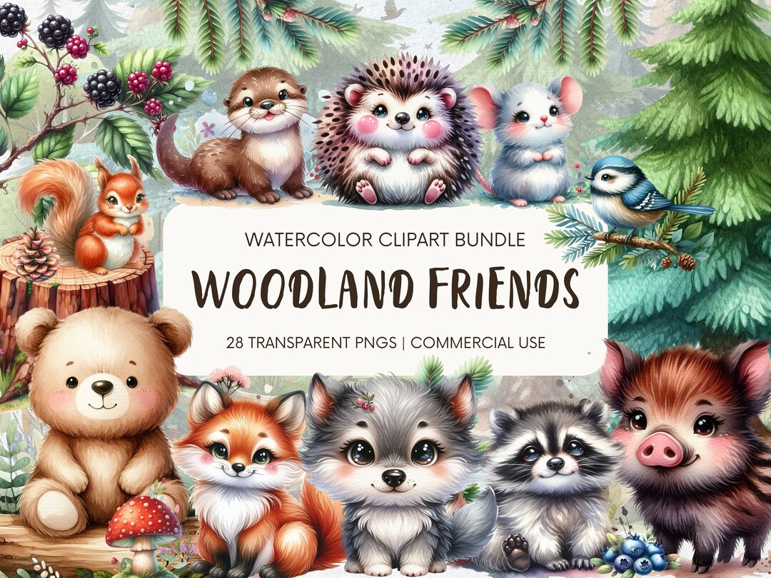 Woodland Animals Clipart Bundle, Clipart for Commercial Use, Watercolor ...