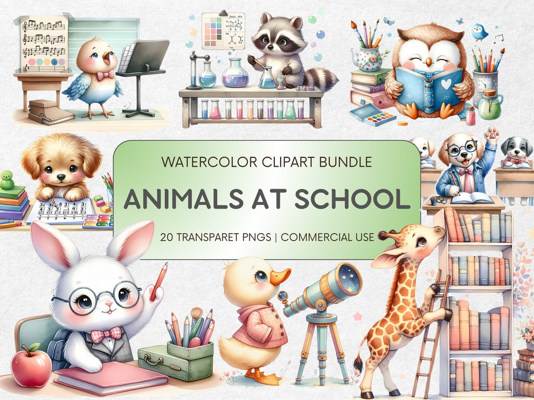 Cute Animals at School Clipart Bundle, Clipart for Commercial Use ...