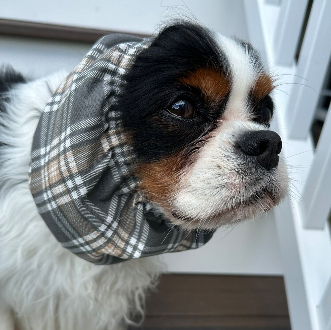 Cavalier Snood ~ Gray & Tan Check - Etsy