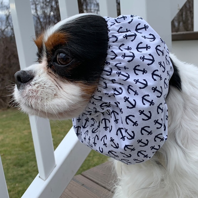 Cavalier Dog Snood - Etsy
