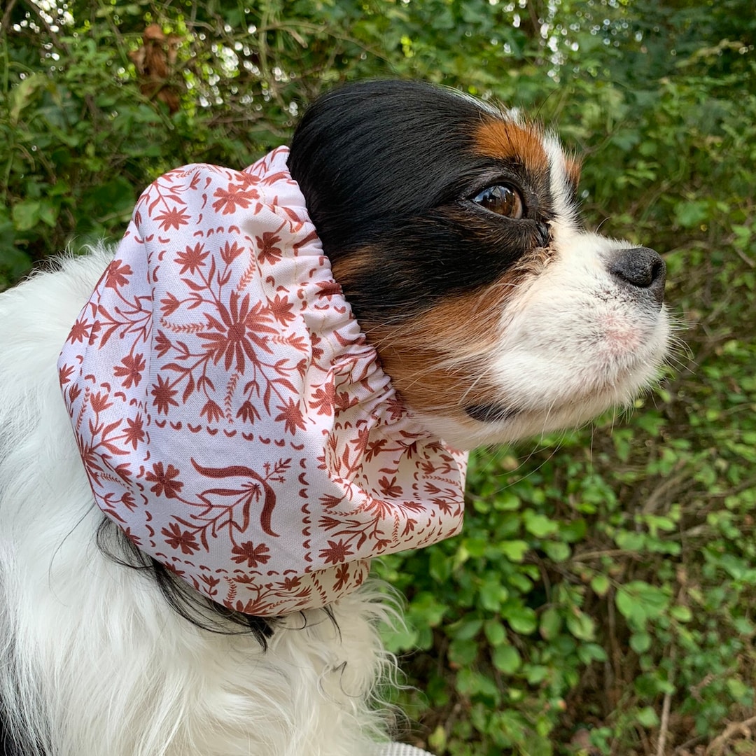 Cavalier Snood ~ Colonial Stencil - Etsy