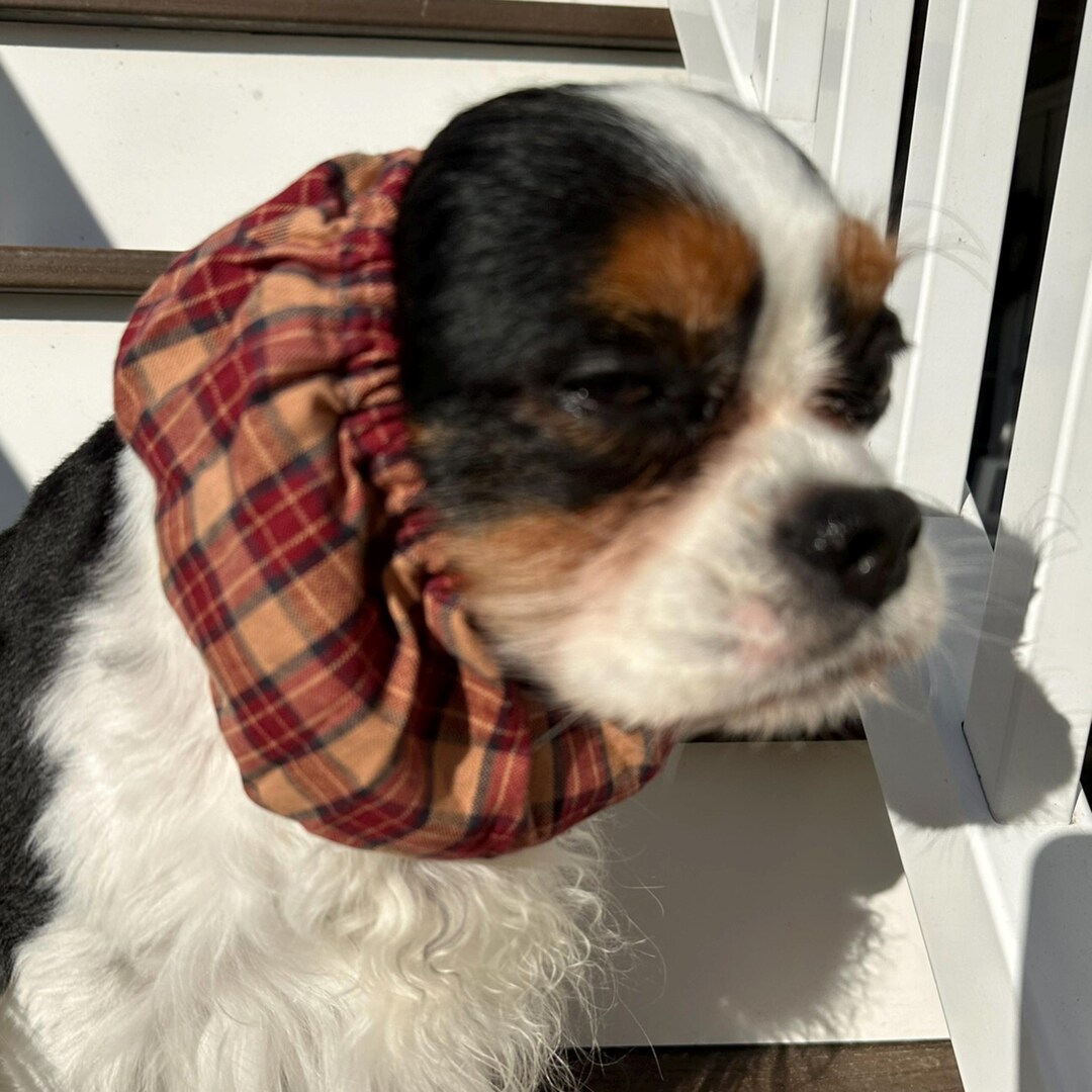 Cavalier Snood ~ Berry & Beige Check - Etsy