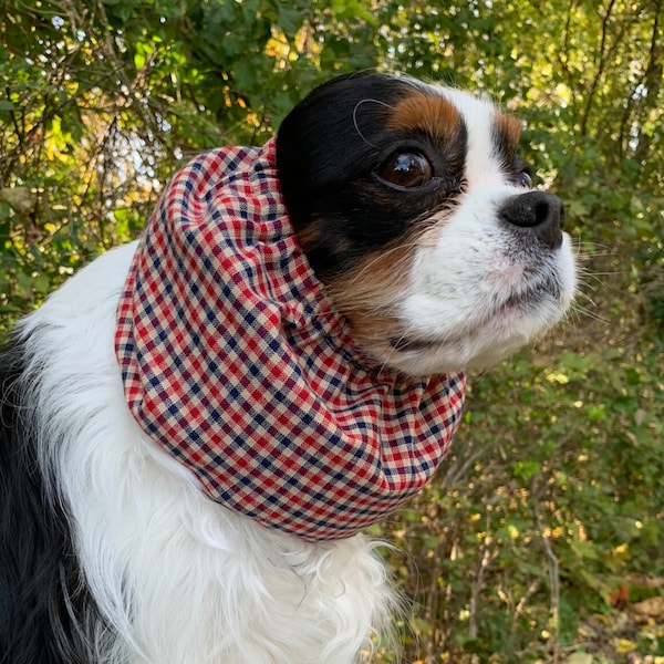 Cavalier Dog Snood - Etsy