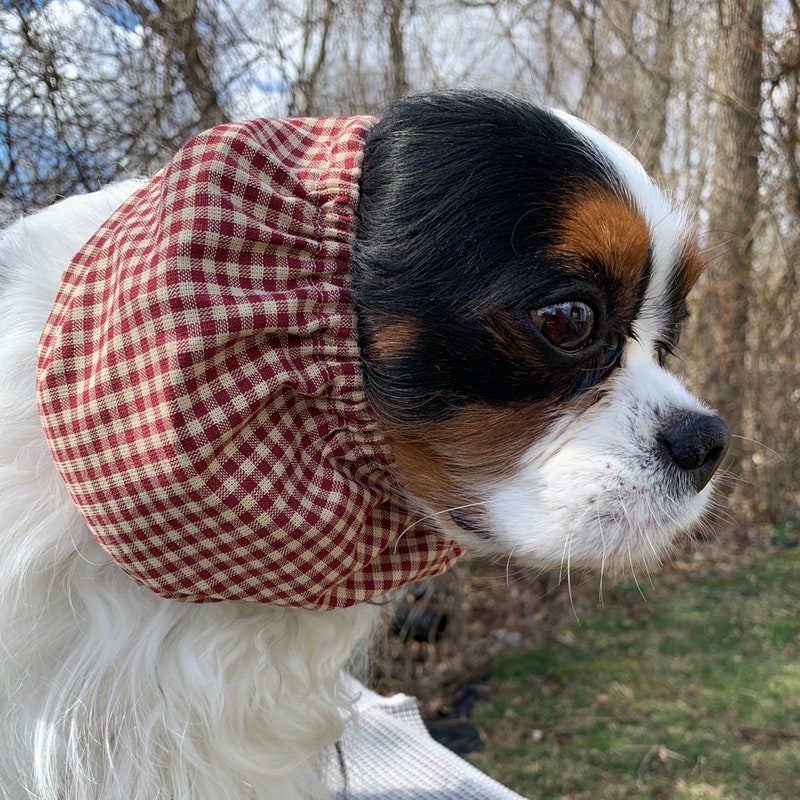 Cavalier Dog Snood - Etsy