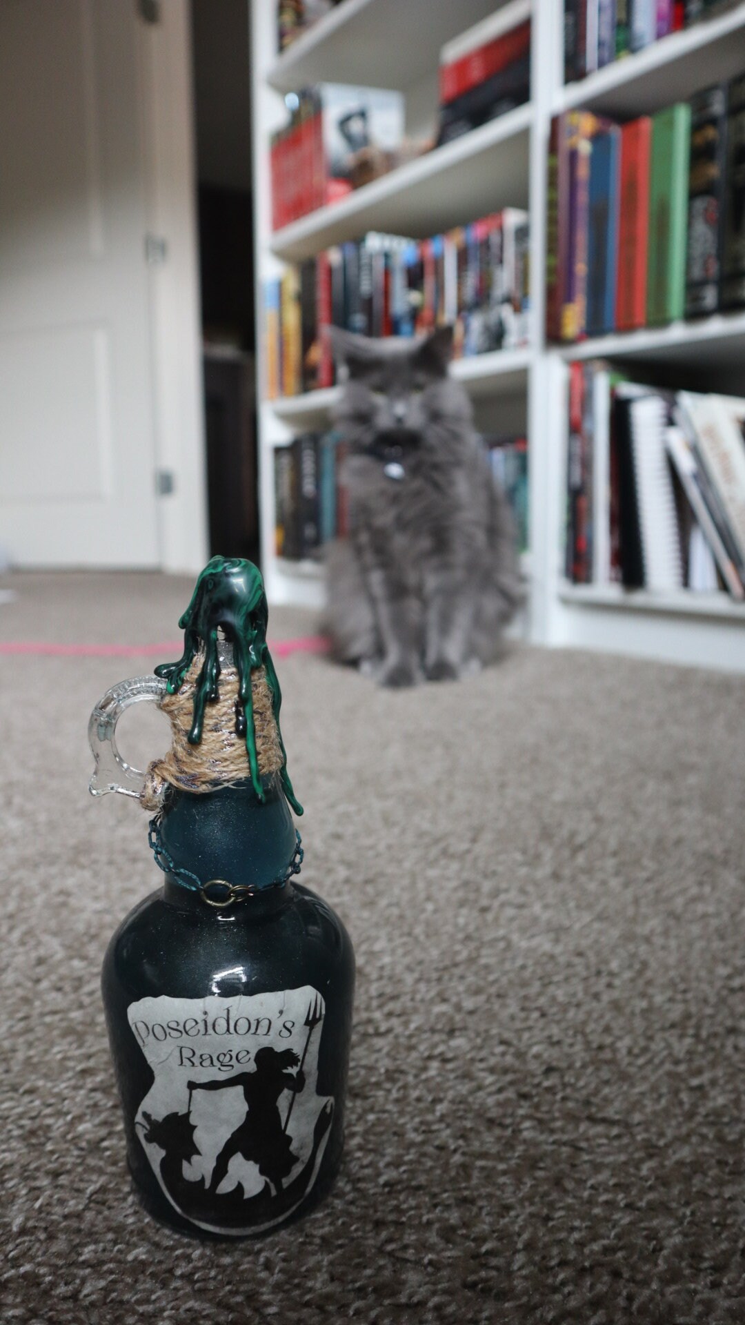 Poseidon's Rage Potion Fantasy Bookshelf Decor - Etsy
