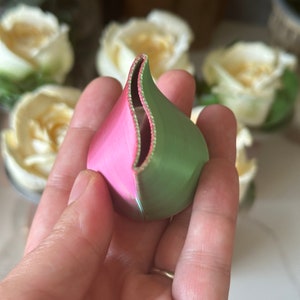 XXL Piping Rose Tip Set - Etsy