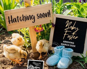 Chicken Coop Pregnancy Announcement Digital, Neutral Farm Baby Reveal ...