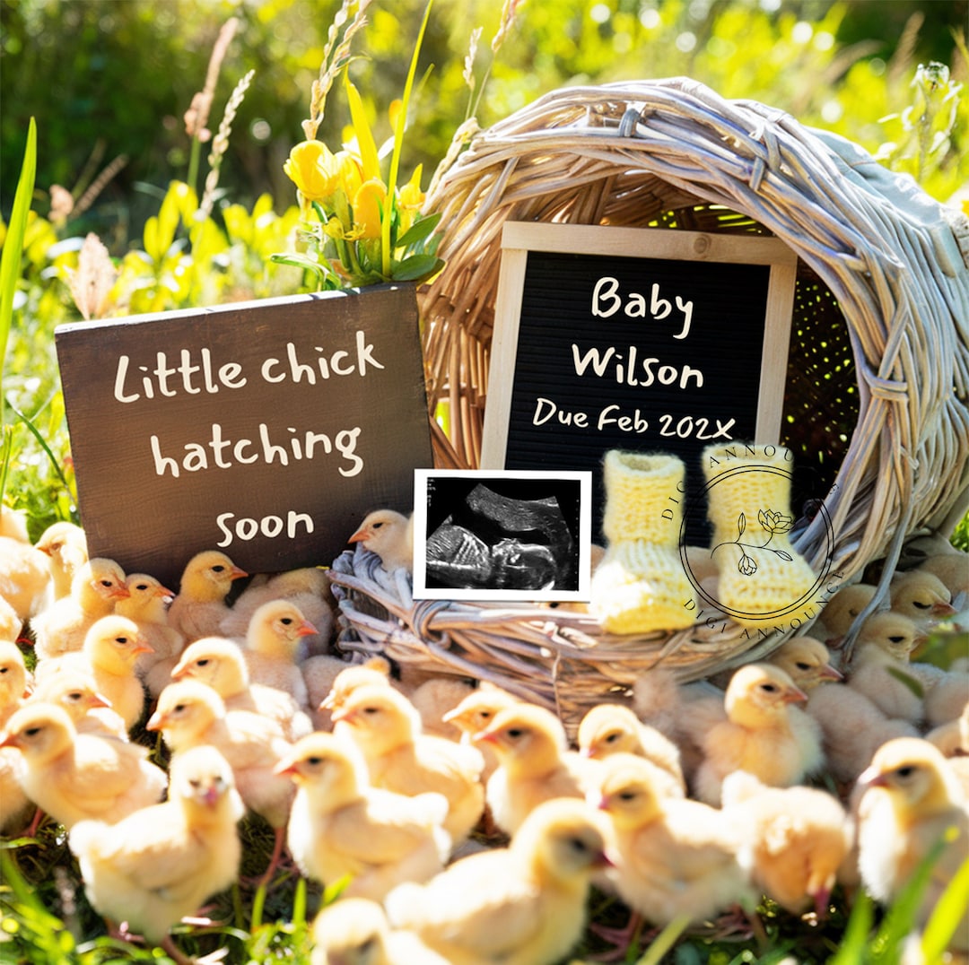 Little Chick Pregnancy Announcement Digital, Farm Baby Reveal, Egg ...