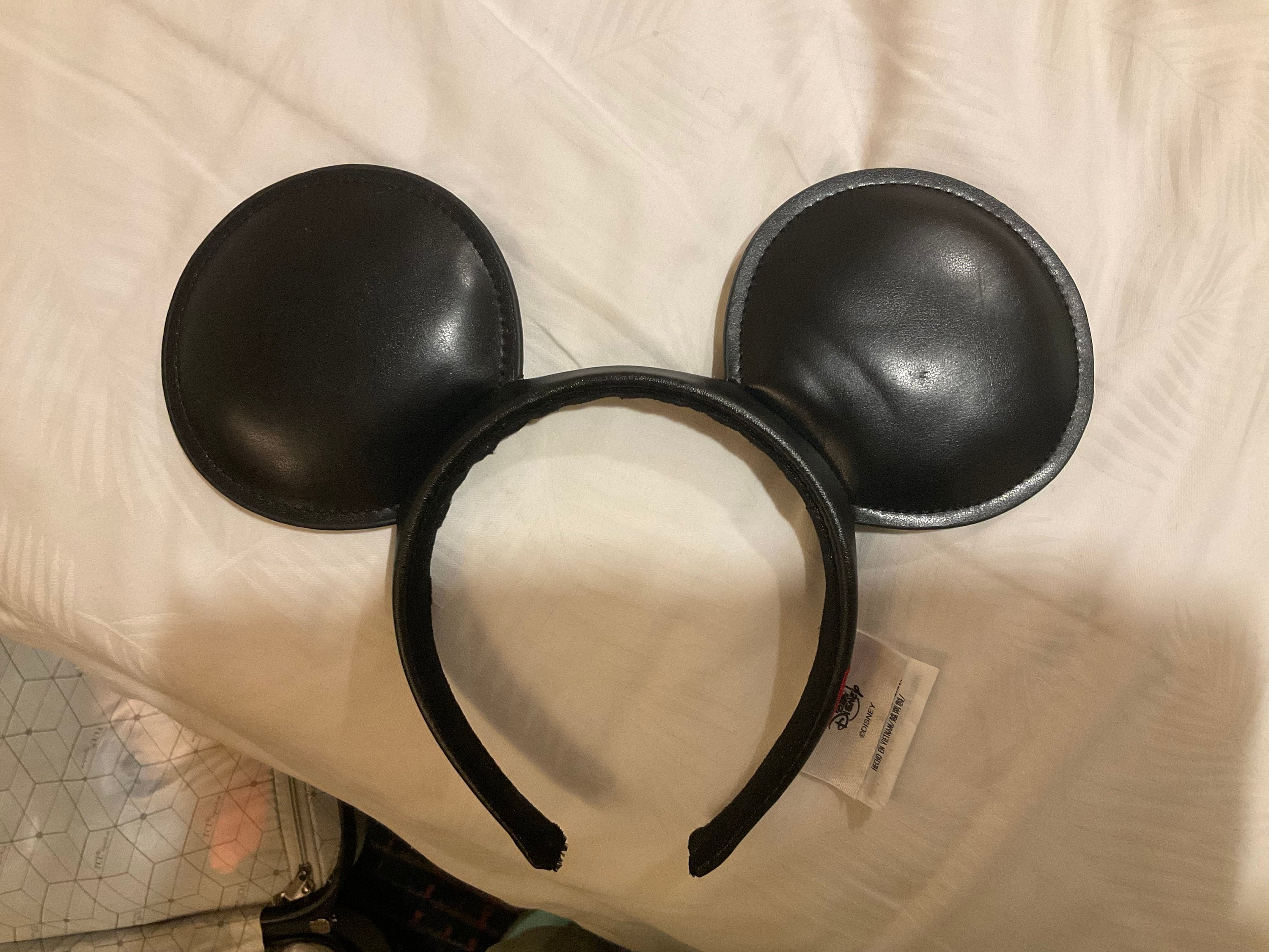 Customized Hand Painted Mickey/minnie Ears Travel Vacation Headband ...