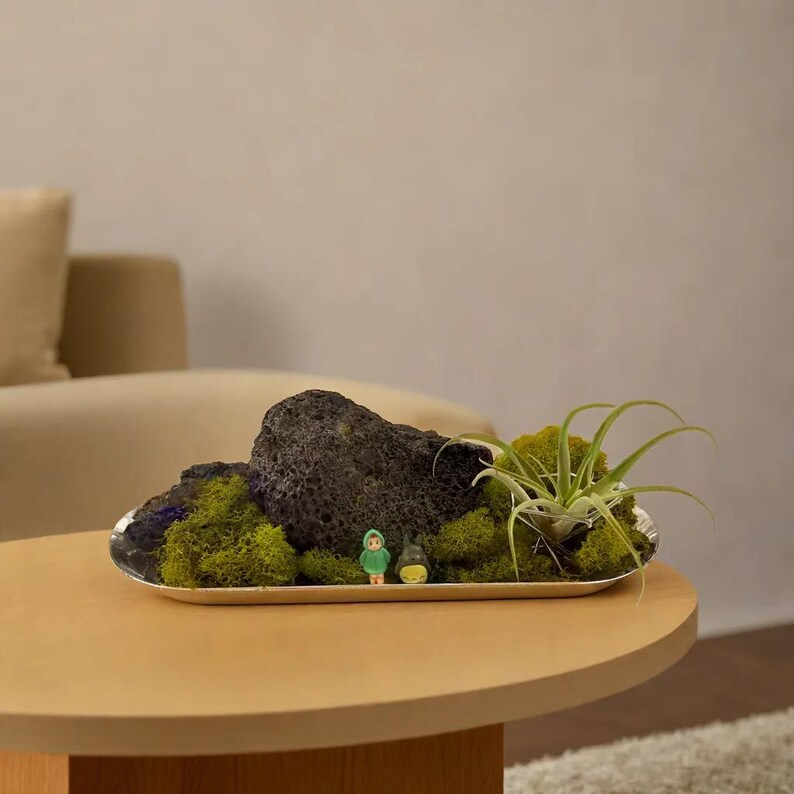 Airclean Terraspace Preserved Moss, Lava Rock, Tillandsia Terrarium Kit ...