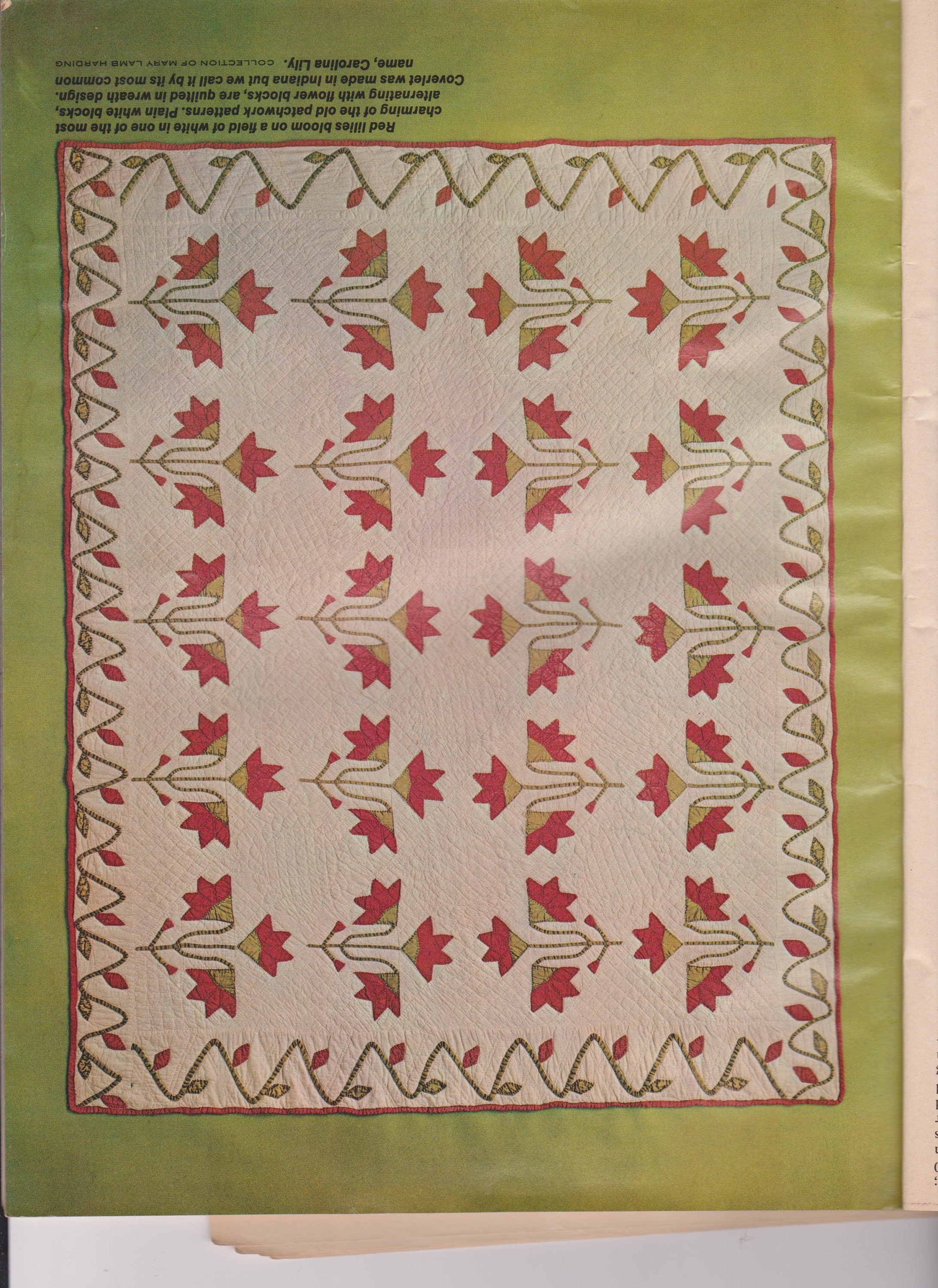Carolina Lily Quilt Pattern-pdf Pattern - Etsy