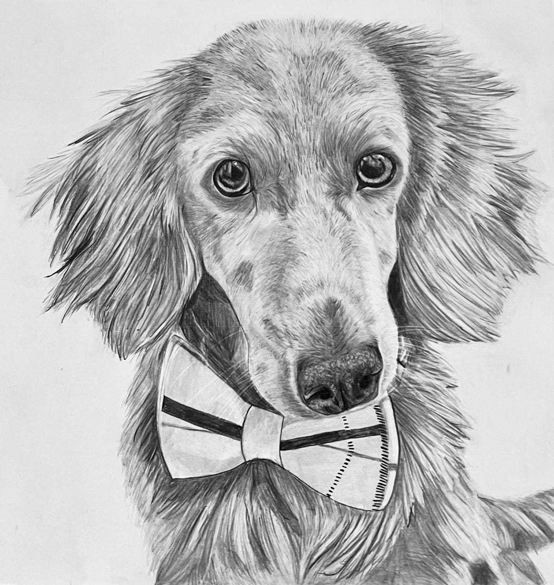 Custom Graphite Pet Portraits | Hand-drawn Keepsakes for Pet Lovers - Etsy