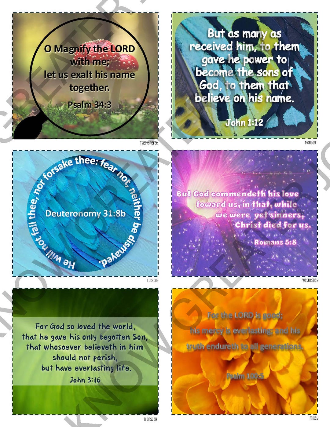 Magnified! VBS KJV Bible Verse Cards - Etsy