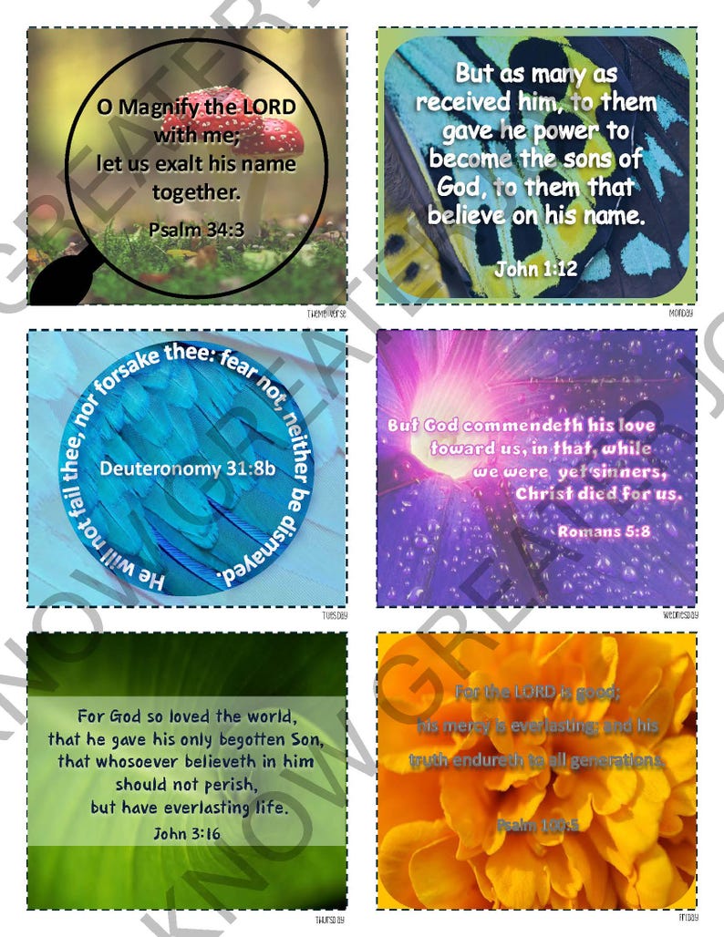 Magnified! VBS KJV Bible Verse Cards - Etsy