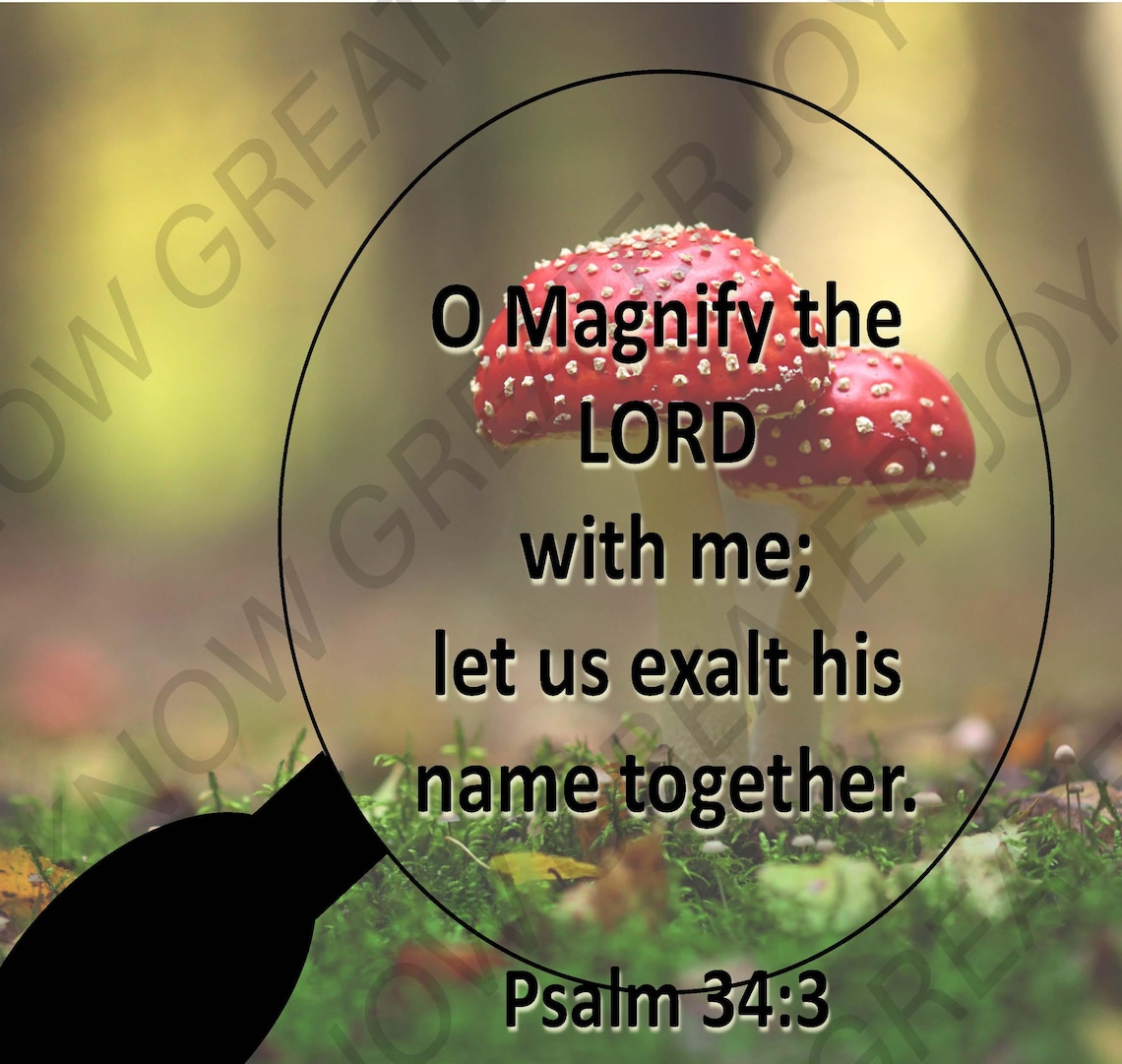 Magnified! VBS KJV Bible Verse Posters - Etsy