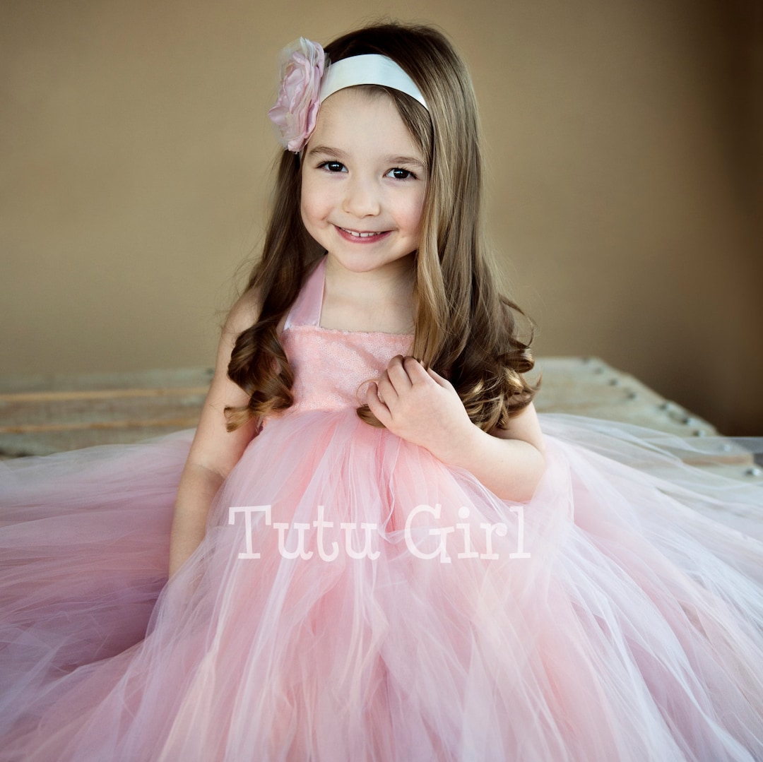 Blush Pink Tutu Dress Blush Flower Girl Tutu Dress Pink Blush Tulle