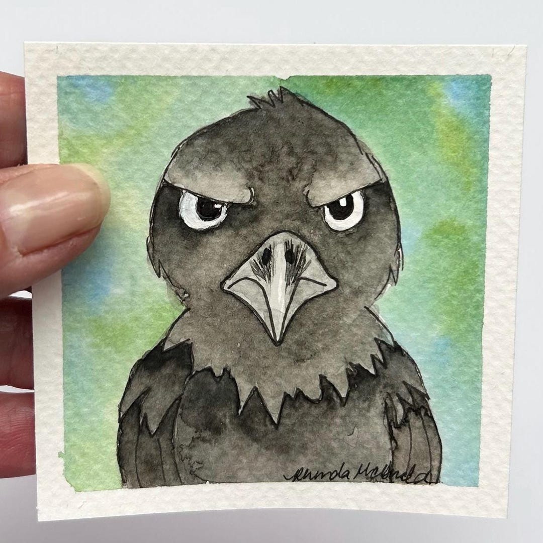 Judgy Raven – Original 3x3 Watercolor | Alaska Wildlife Art | Animals ...