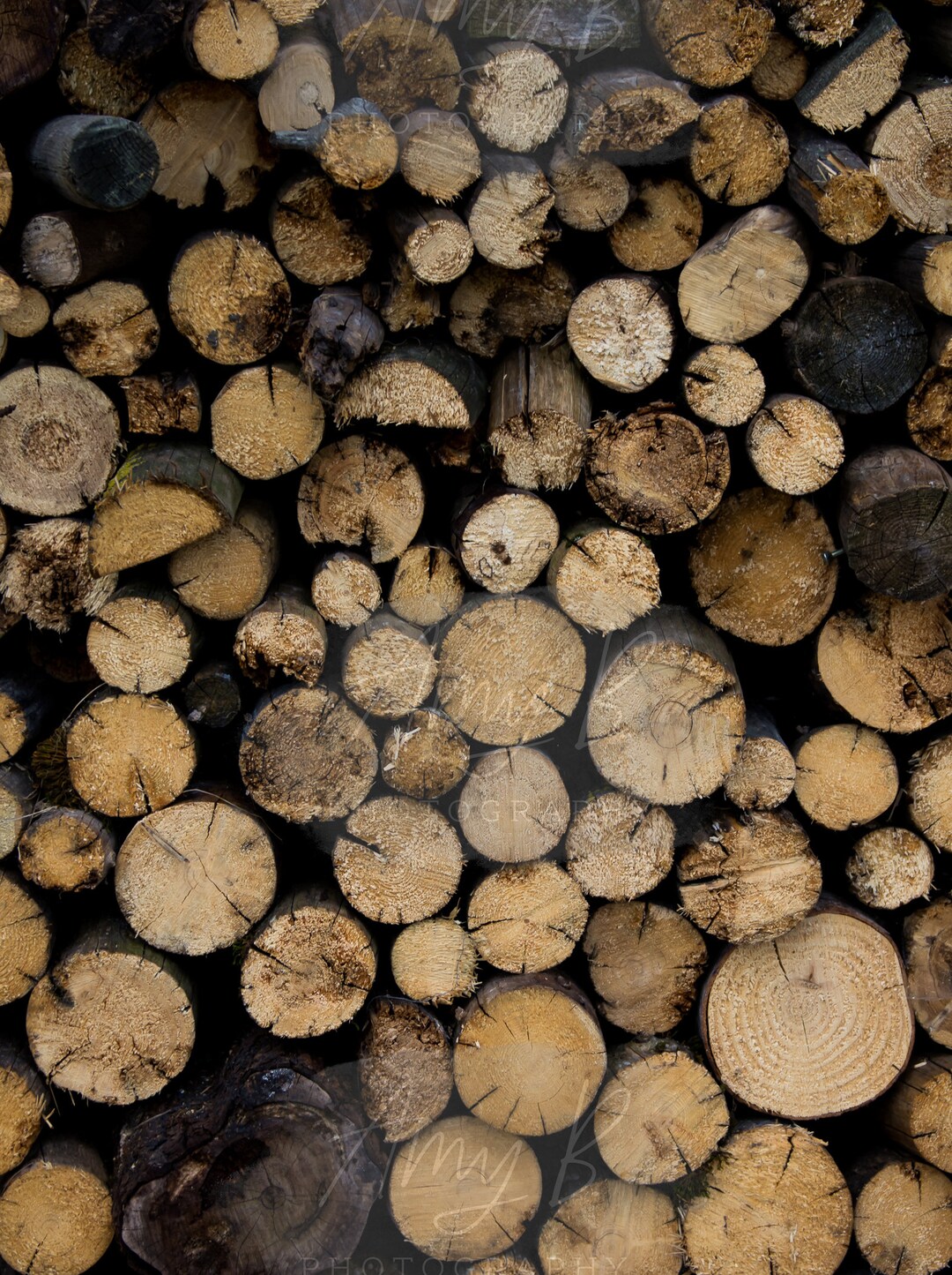 Wood Log Stack Fine Art Photography Printed Image PNW Mountain Forest ...