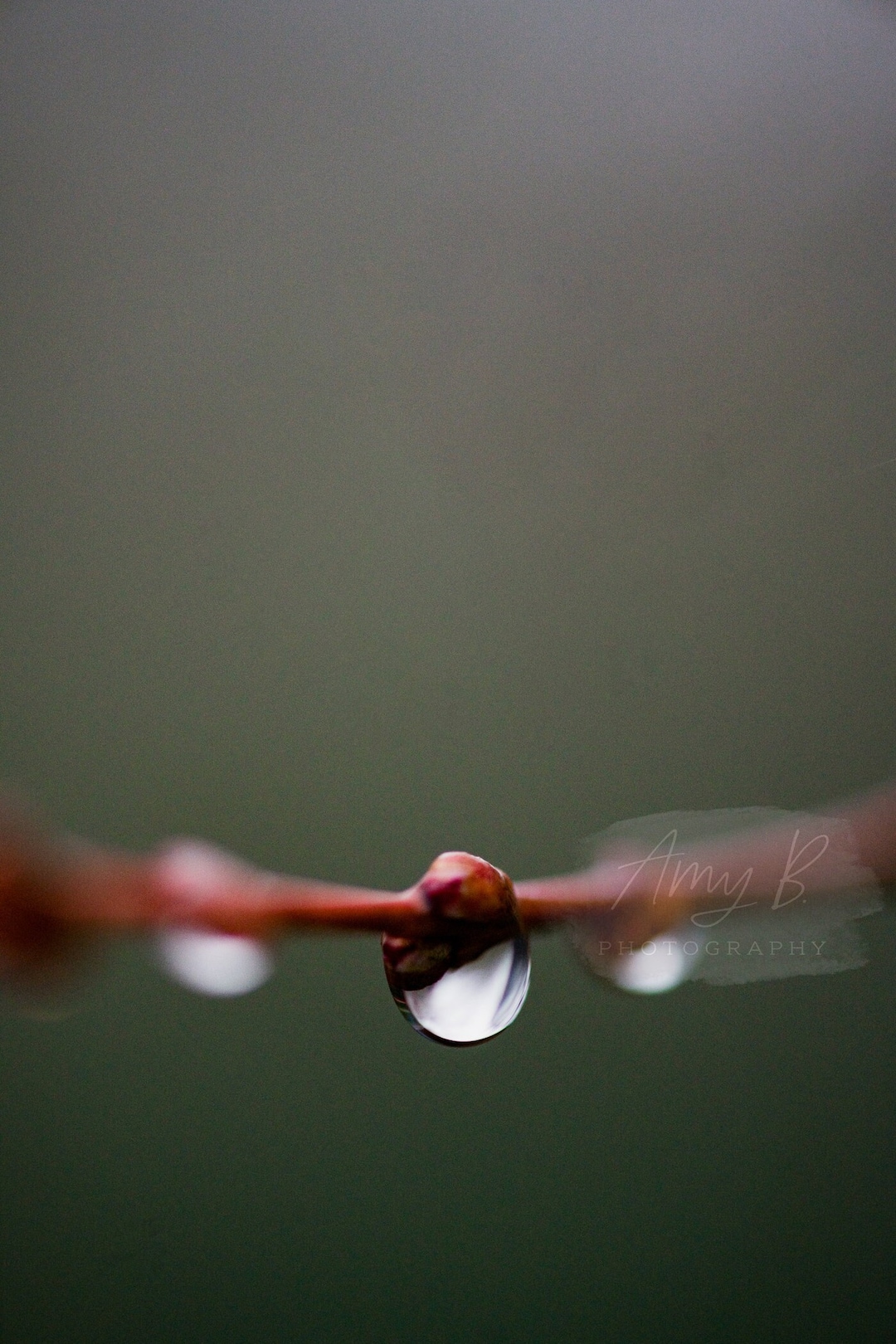 Triple Rain Drop Fine Art Photography Printed Image - Minimalist Style ...