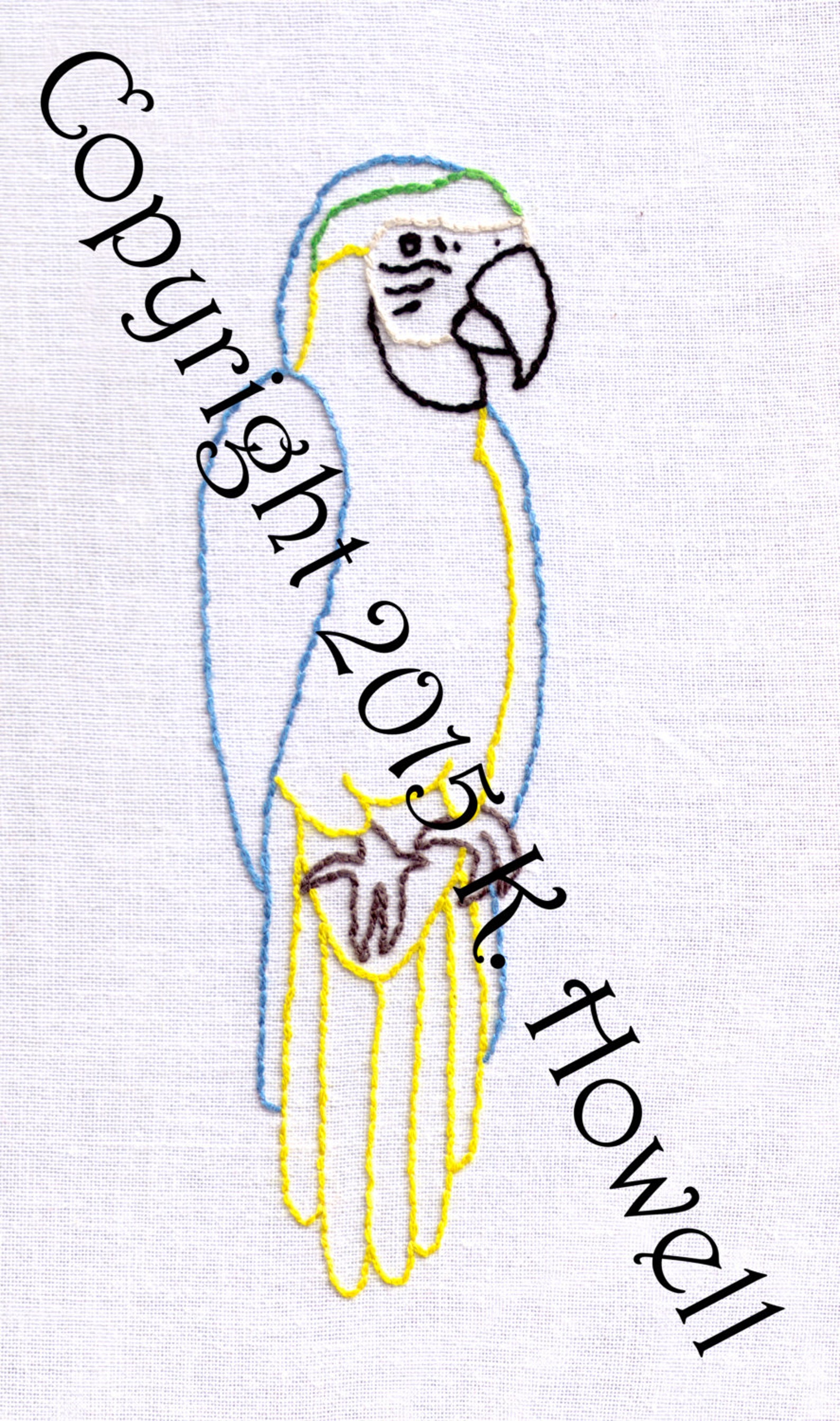 Bird Hand Embroidery Pattern Combo Pack, PDF, Parrot Trio, Flying ...