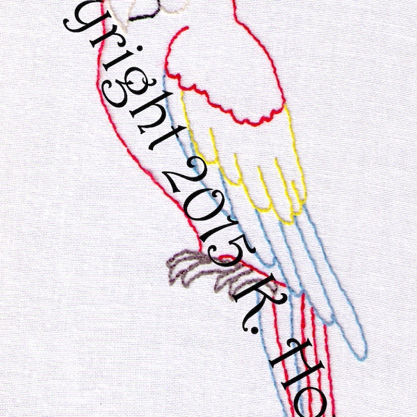 Parrot Embroidery - Etsy