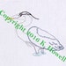 Bird Hand Embroidery Pattern, Blue Heron, PDF - Etsy