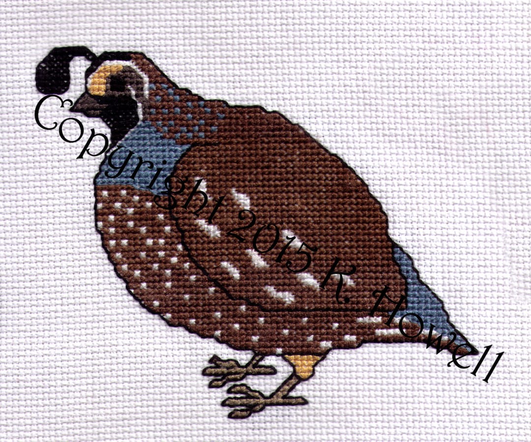 Quail Cross Stitch Pattern, Bird, Avian, Audubon, Animal, California ...