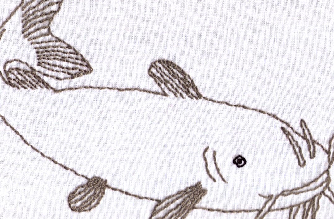 Fish Hand Embroidery Pattern, Catfish, Fishing, Freshwater, Bottom ...