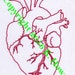 Heart Hand Embroidery Pattern, Anatomical Heart, Human, Heart, Beat ...