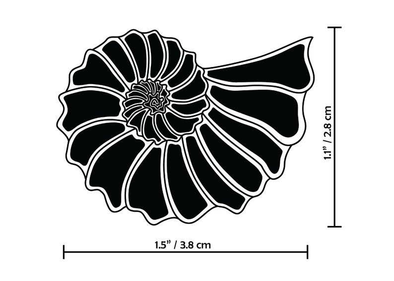 Ammonite (acanthoceras) - Black & Rose Gold Soft Enamel Pin - LIMITED ...
