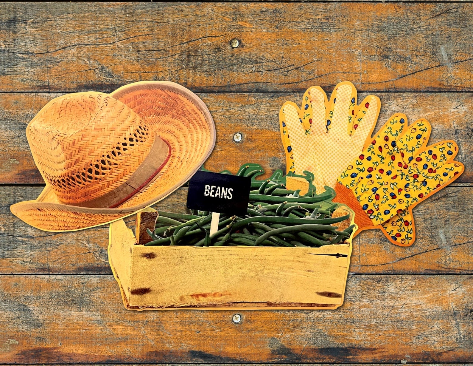 Community Helpers Bulletin Board | Bulletin Board Cutouts | Community ...