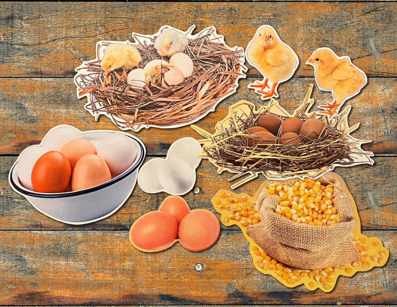 Chicken Coop Bulletin Board | Egg Theme | Farm Classroom Decor | Door ...
