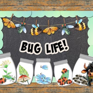 Bugs Bulletin Board | Bulletin Board Preschool | Bug Classroom Decor ...