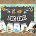 Bugs Bulletin Board | Bulletin Board Preschool | Bug Classroom Decor ...