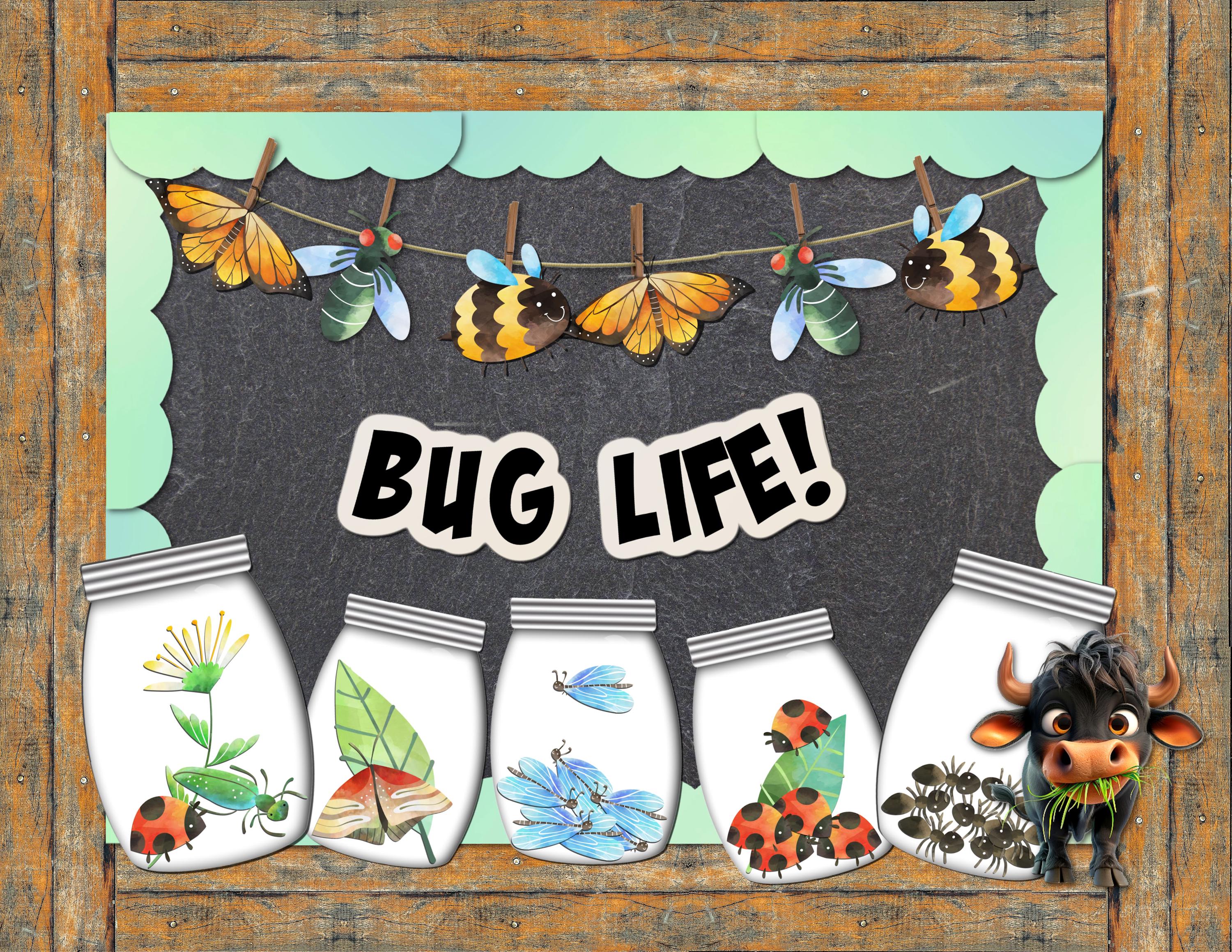 Bugs Bulletin Board | Bulletin Board Preschool | Bug Classroom Decor ...